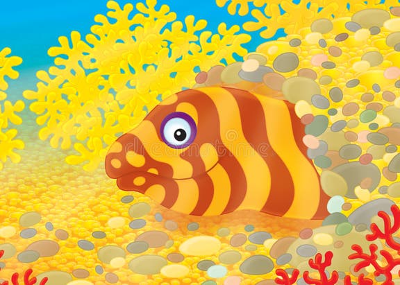 Moray Cartoon Stock Illustrations – 1,206 Moray Cartoon Stock ...