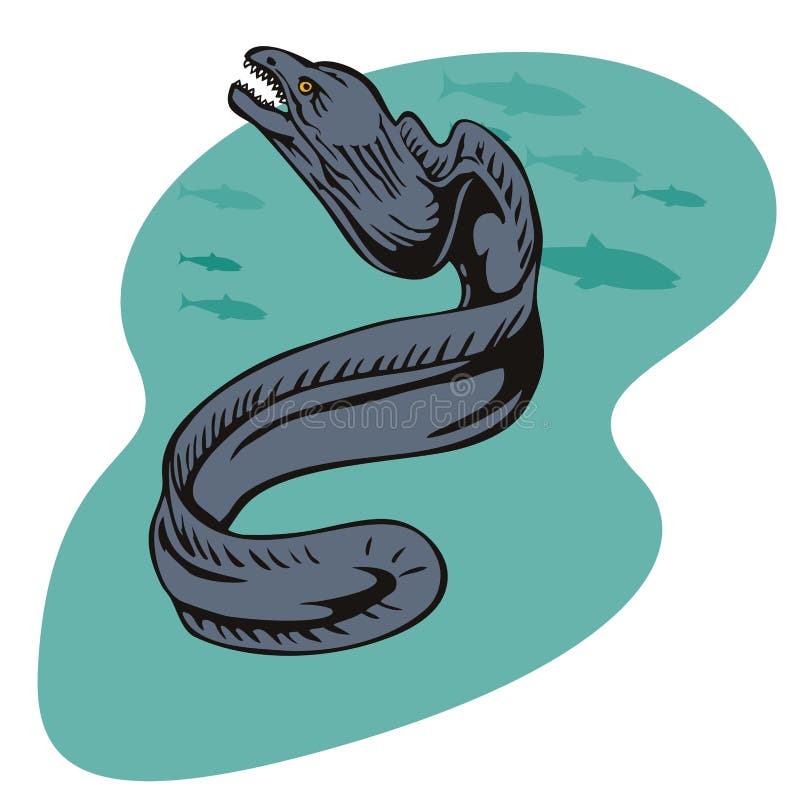Moray Eel Clipart