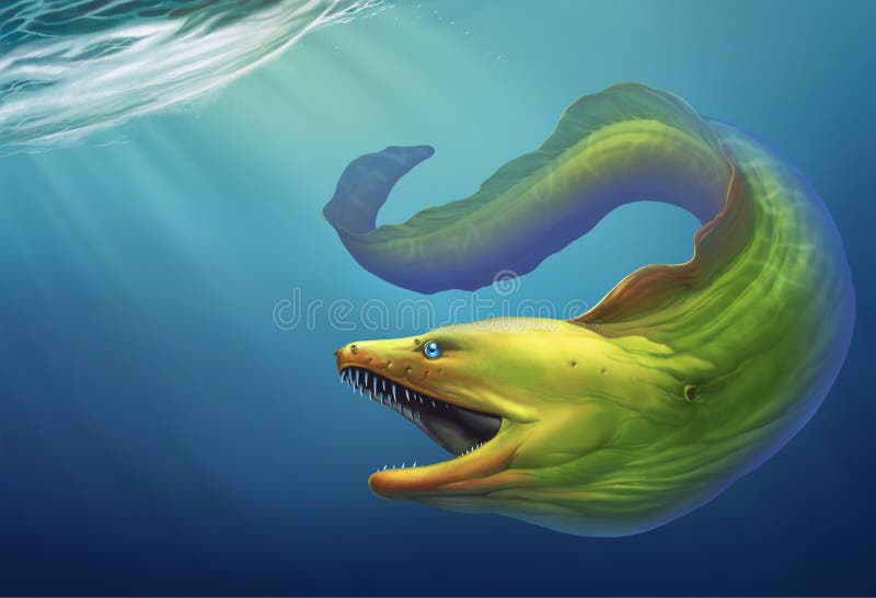 Moray Eel Green. Large Green Moray Eel with Open Mouth and Thick Row of ...