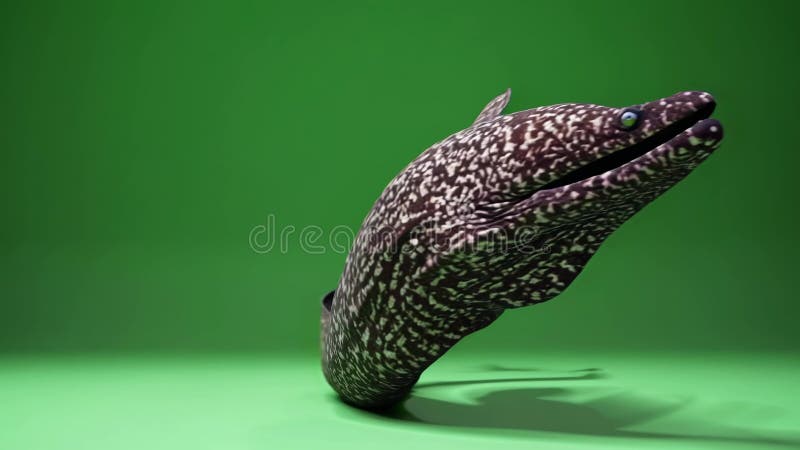 Moray Eel Swimming Against a Green Backdrop in a Dynamic Underwater ...