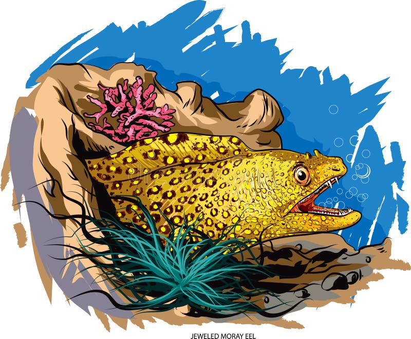 Moray eel stock vector. Illustration of snake, underwater - 39566119