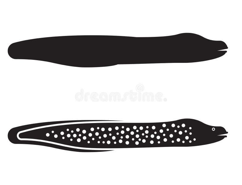Moray Eel Illustration stock vector. Illustration of animals - 133968413