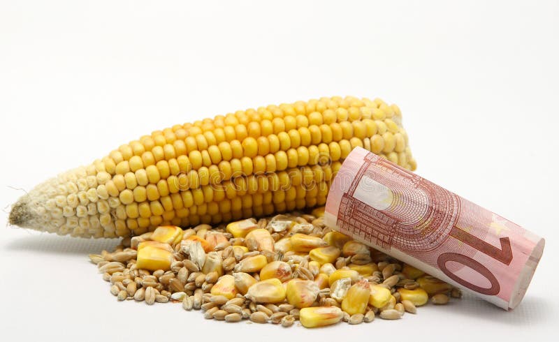 More Expensive Corn Stock Photos - Free & Royalty-Free Stock Photos ...
