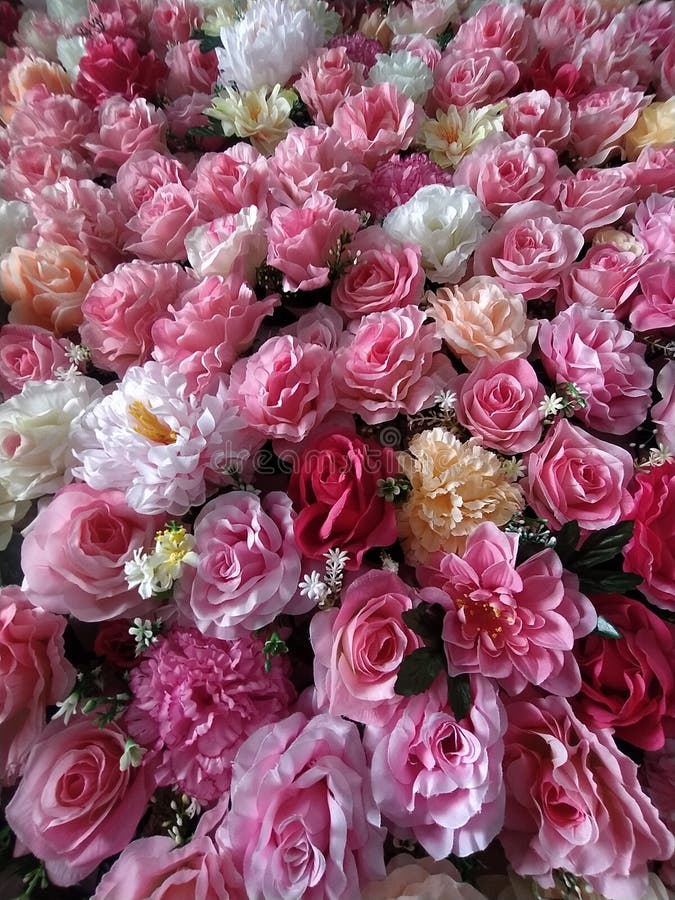 More Flowers stock image. Image of flowers, petal, peony - 178695555