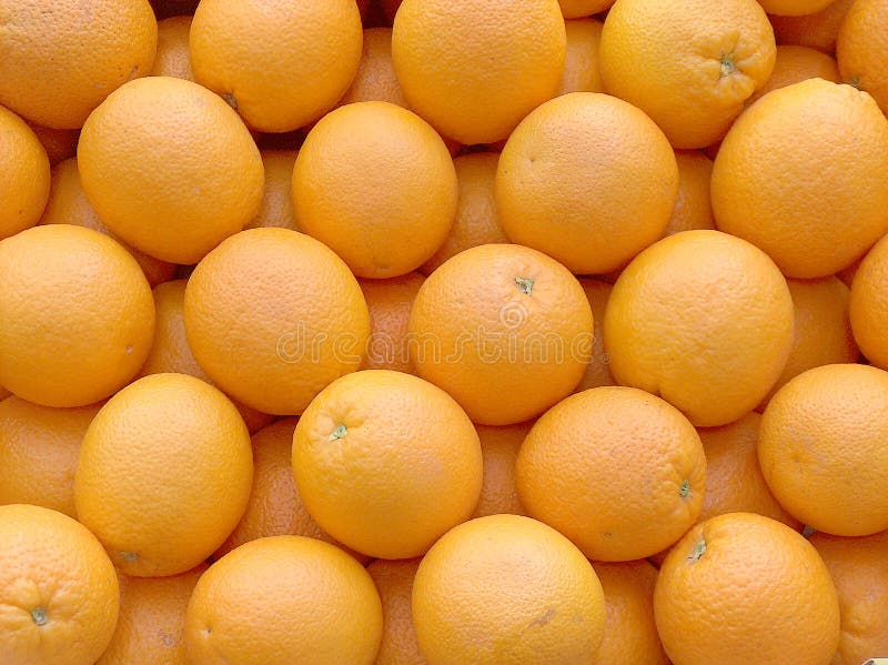 More oranges stock image. Image of vitamins, orchard, healthy - 624099