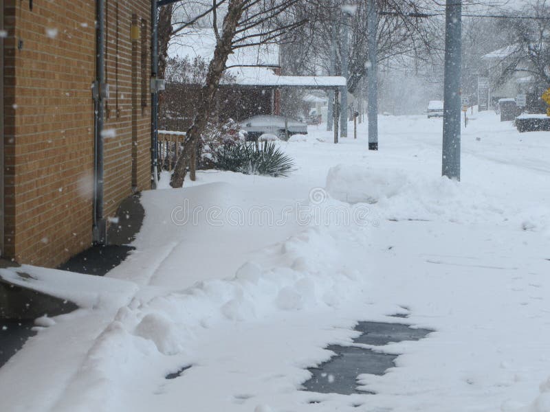 More Snow stock image. Image of trees, coldweather, johnsoncity - 76161525
