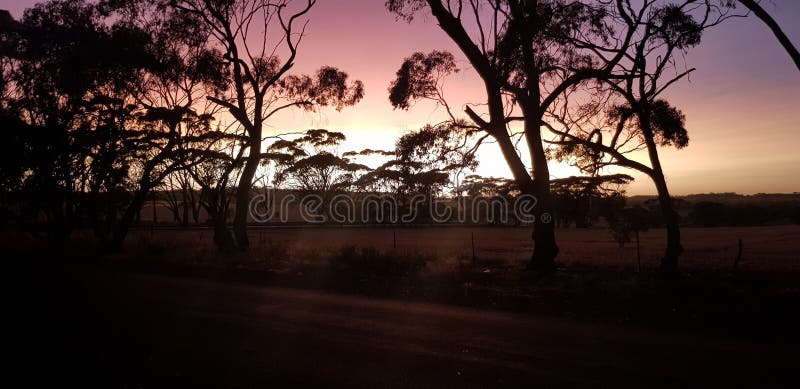 More sunrise in goomalling stock photo. Image of plant - 251673542