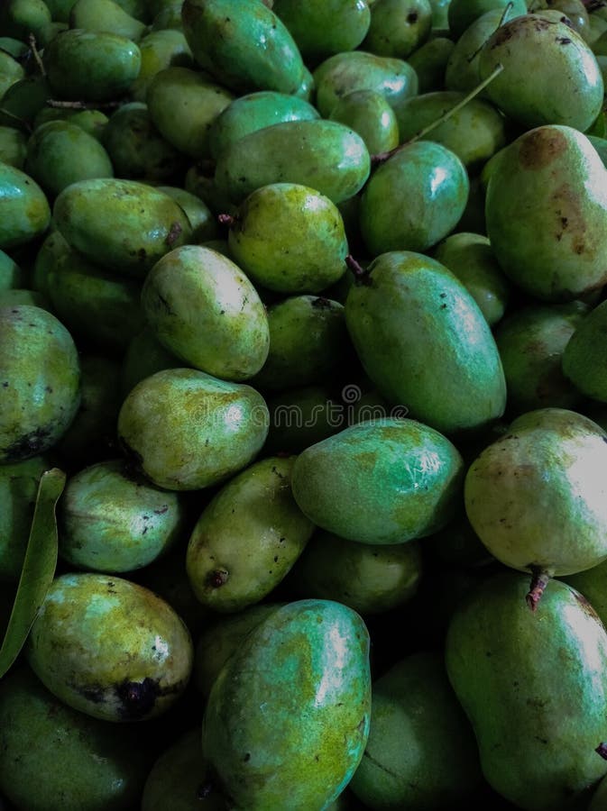 More Than 1,000 Types of Mango but only about 50 Types are Commonly ...