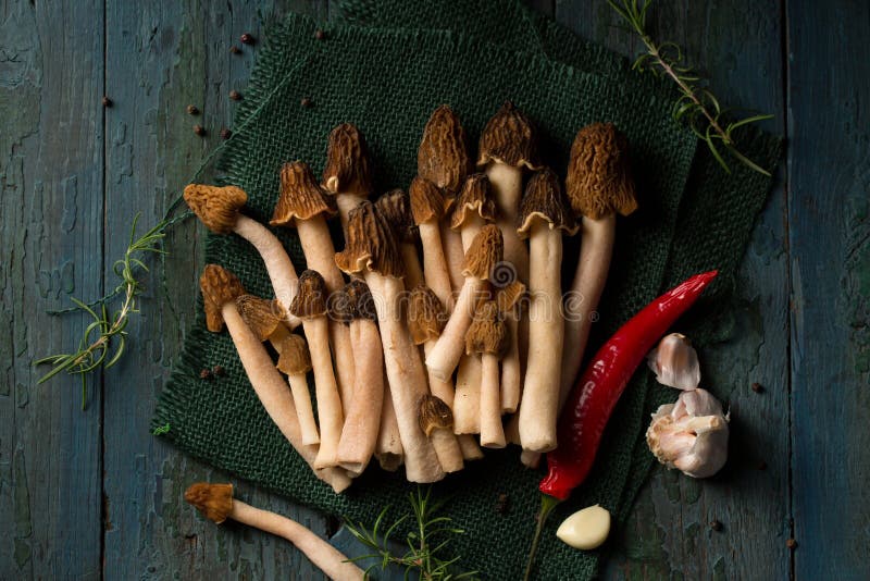 Morel Forest Mushrooms with Spices and Vegetables Stock Image - Image ...