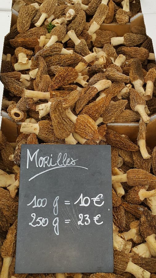Morel Mushrooms in Outdoor Market Stock Image - Image of food ...