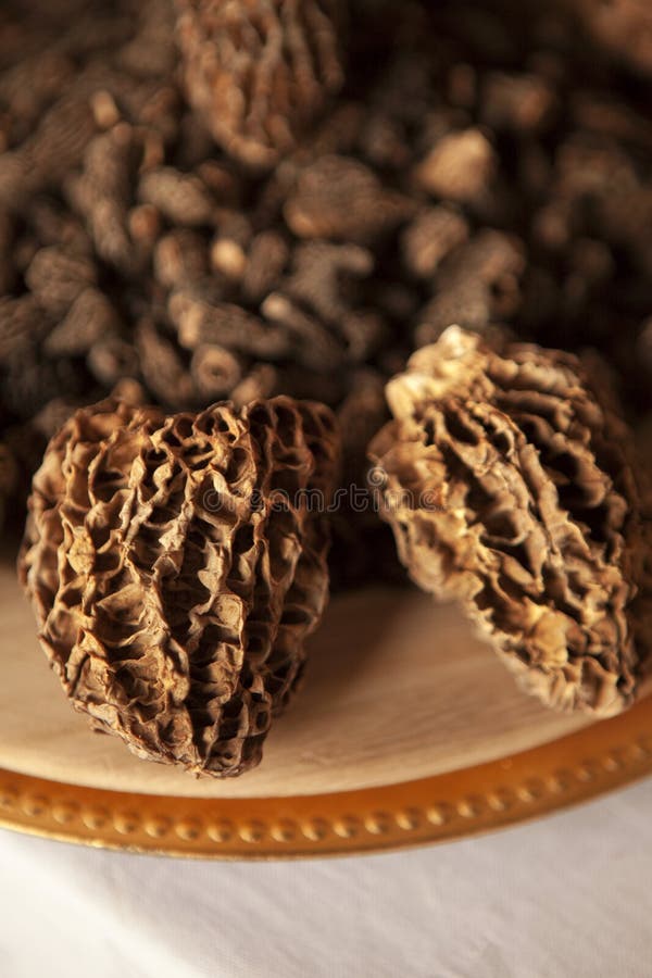 Morels stock photo. Image of stall, focus, morel, ingredient - 55639670