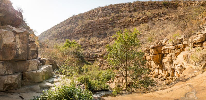 Moremi Gorge Botswana stock image. Image of nature, wild - 68959073