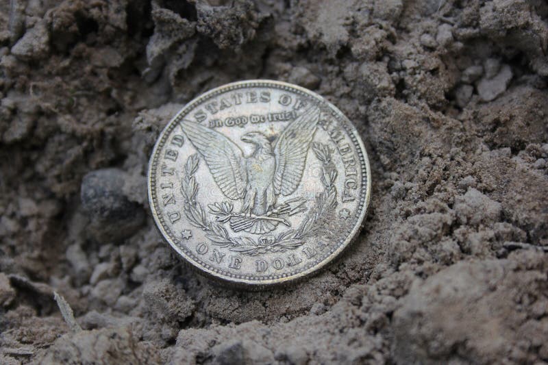 1879 Morgan Silver Dollar on Ground in Dirt Back View Stock Image ...
