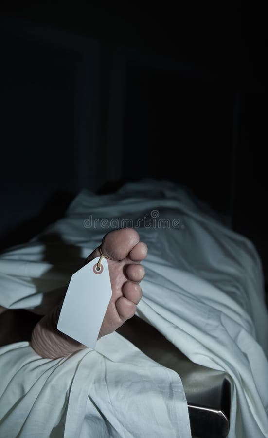Morgue Scene stock image. Image of autopsy, deceased, cadaver - 9549957