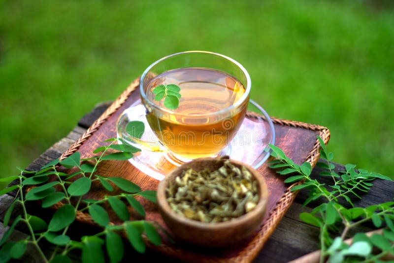 Moringa herbal tea stock photo. Image of focus, knot - 93773724