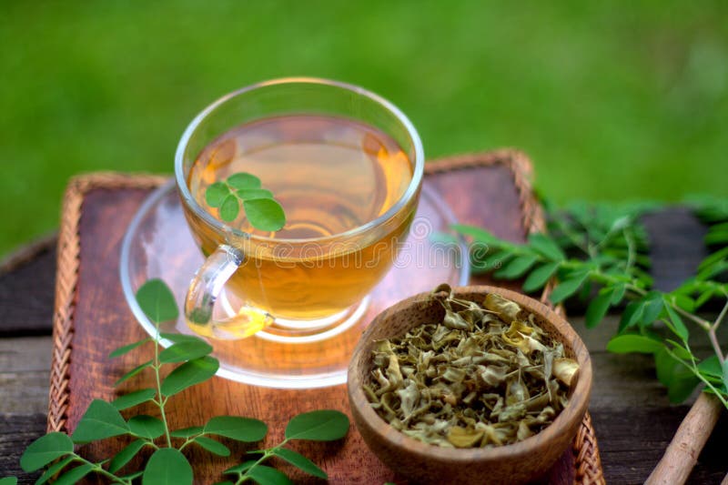 Moringa herbal tea in stock image. Image of leaves, herb - 93773761