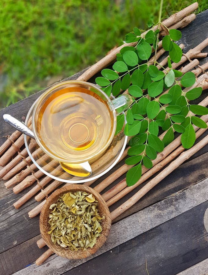Moringa herbal tea stock image. Image of nature, health - 94224929