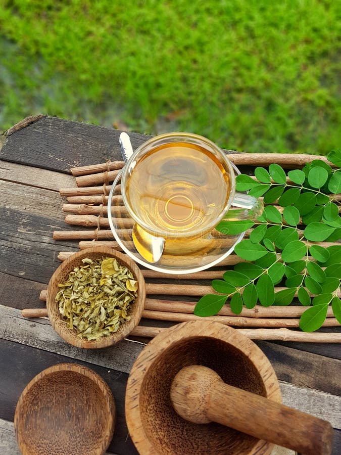 Moringa herbal tea stock photo. Image of fresh, moringa - 94224956
