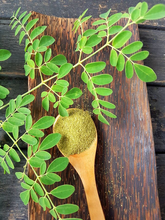 Moringa leaf powder stock image. Image of food, close - 77200567