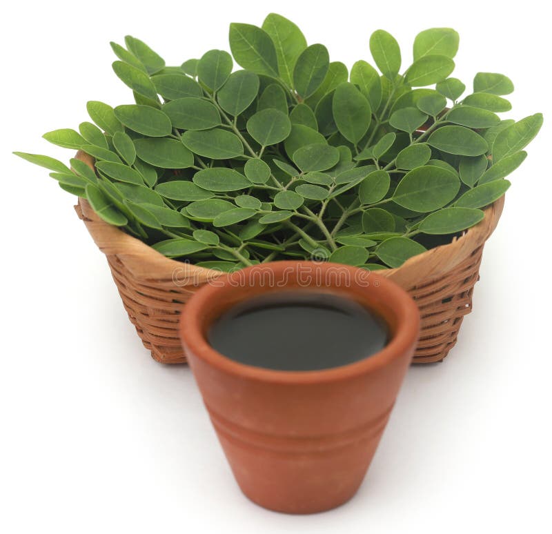 Moringa Leaves with Extract Stock Image - Image of drumstick, healing ...