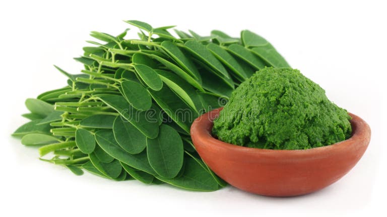 Moringa leaves with paste stock image. Image of long - 39278017