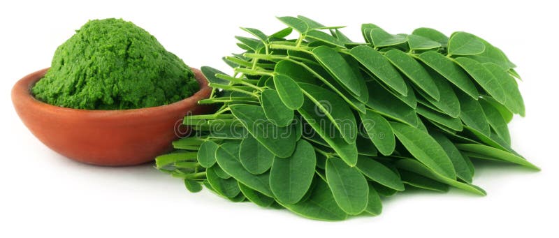 Moringa leaves with paste stock photo. Image of brown - 35923552