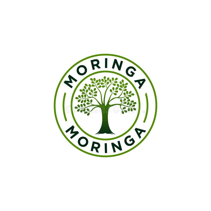 Moringa Logo Design Template Stock Vector - Illustration of design ...
