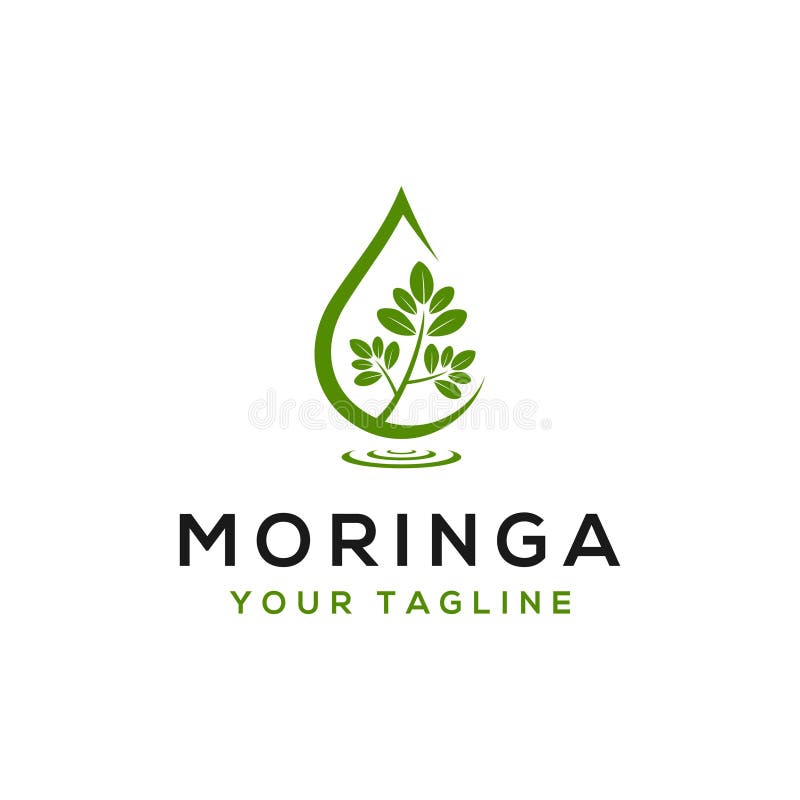 Moringa Logo Design Template Stock Vector - Illustration of design ...