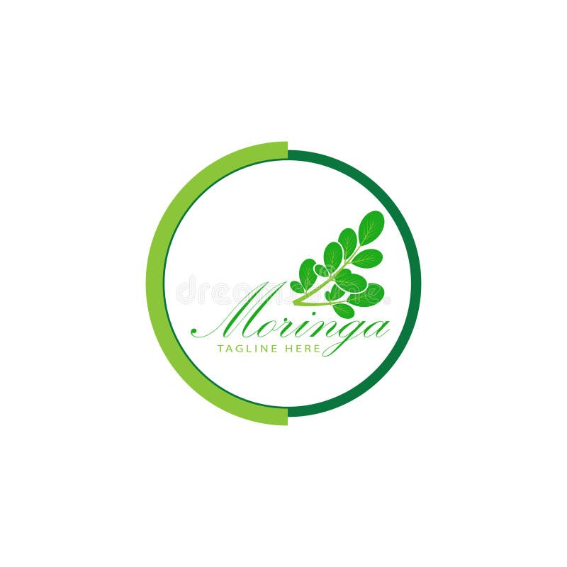 Moringa Logo Design, Healty Logo, Beauty Logo Template Stock Vector ...
