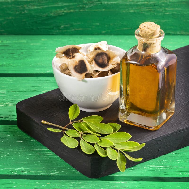 Moringa Oil, Leaves and Seeds - Moringa Oleifera Stock Photo - Image of ...