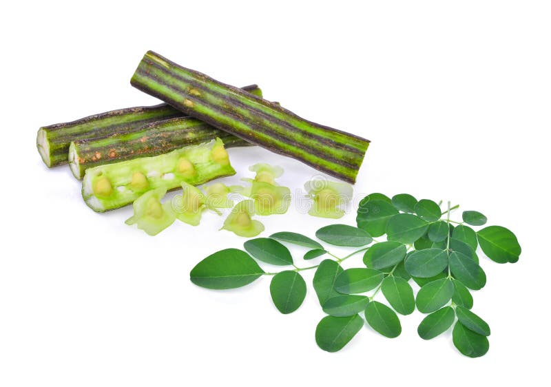 Leaves of the Bitter Cucumber-chinese (Moringa Oleifera Lam.) Processed ...