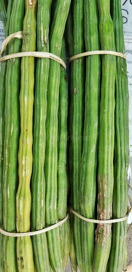 Moringa pods in market. stock image. Image of market - 70135001