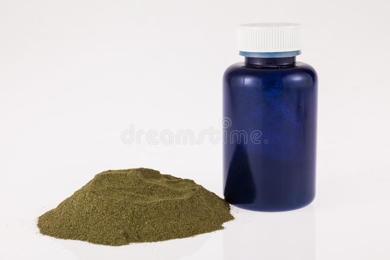 Moringa Powder Moringa Oleifera Stock Photo - Image of medicine ...