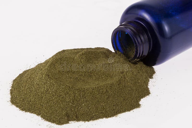 Moringa Powder Moringa Oleifera Stock Image - Image of medical ...