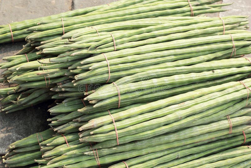 Moringa Vegetable in the Market Stock Image - Image of garden, cuisine ...