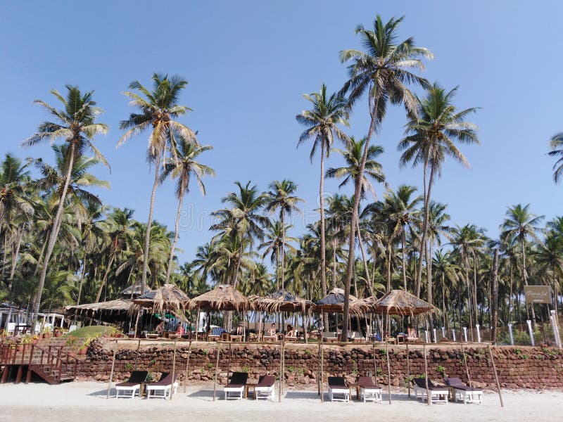 Morjim beach, Goa, India editorial photography. Image of sand - 140425042