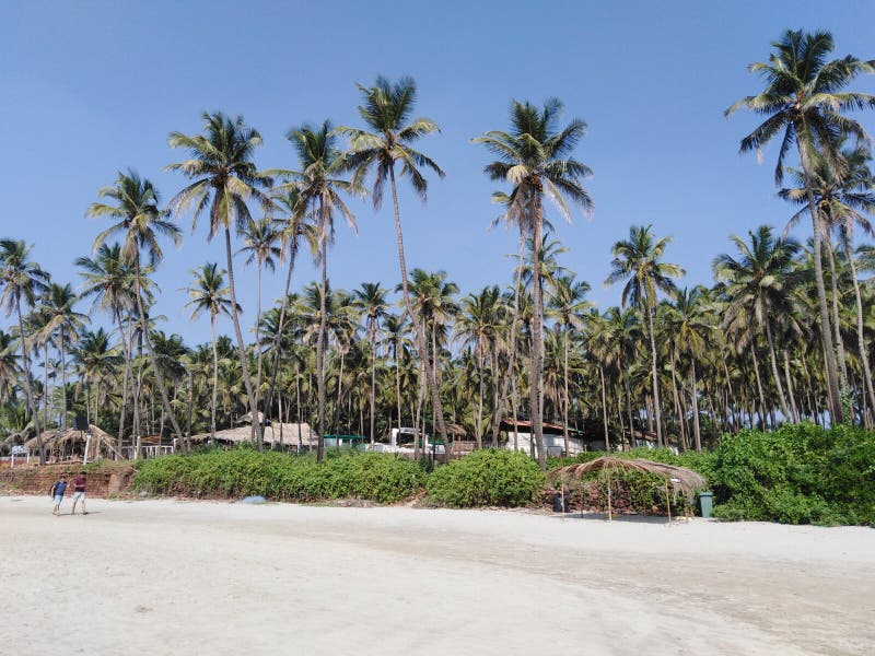 Morjim beach, Goa, India editorial image. Image of touristic - 140424995