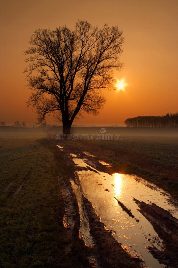 Morning stock photo. Image of glare, wave, morning, sand - 311924