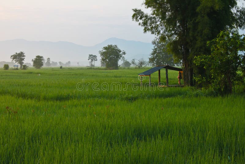 In the morning stock photo. Image of outdoor, landscape - 27452000