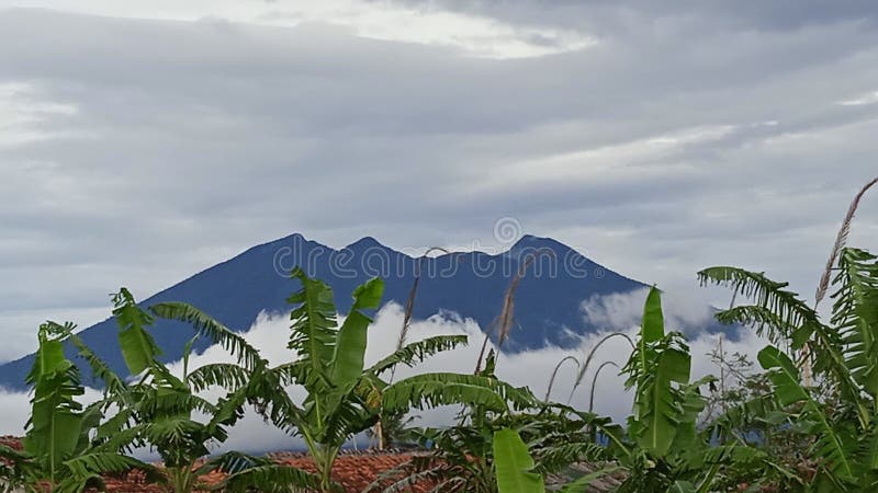Morning Atmosphere of Mount Salak, West Java Stock Image - Image of ...