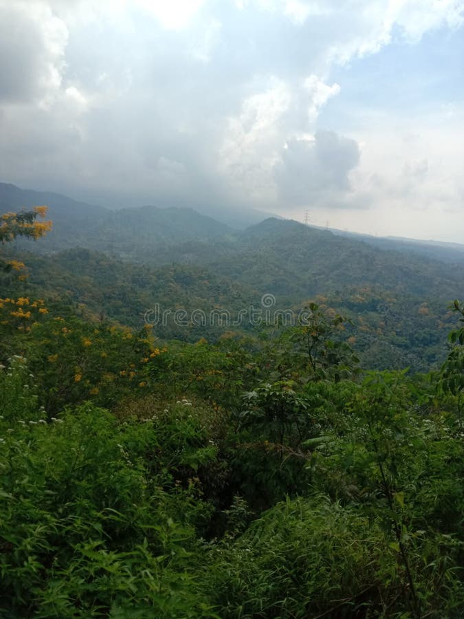 Morning Atmosphere in My Village. on a Hot Day Stock Image - Image of ...