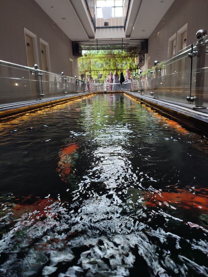 Morning Atmosphere in a Small Hotel with a Fish Pond in it Stock Image ...