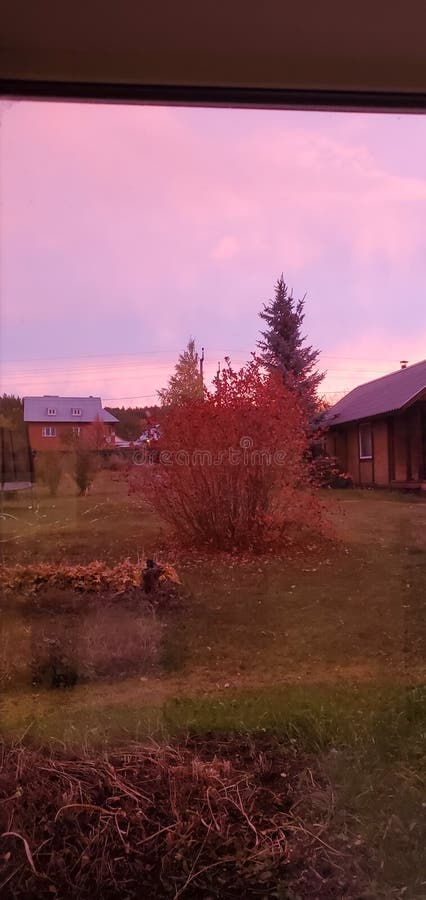 At morning autom stock photo. Image of night, dawn, painting - 230705808