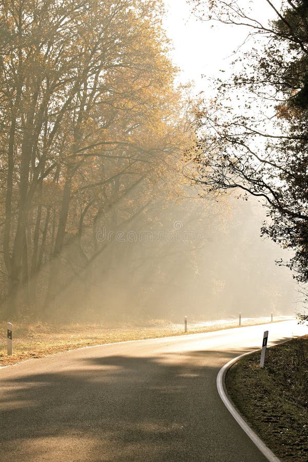 Morning in autumn stock photo. Image of trees, autumn - 27737432