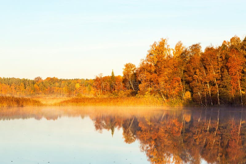 Morning autumn mist stock image. Image of calm, morning - 76356325