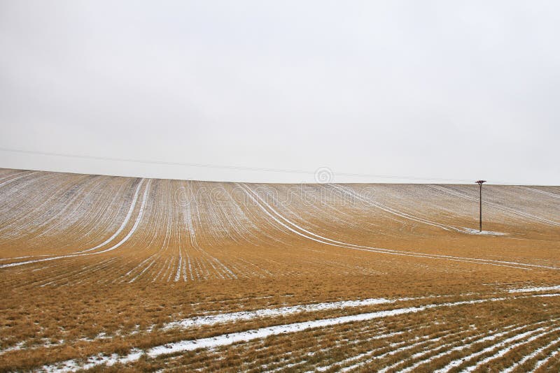 Morning in autumn stock photo. Image of plants, autumn - 55269148