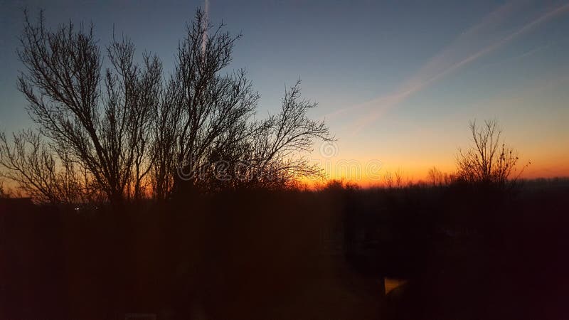 Morning in the backyard stock photo. Image of backyard - 139321418