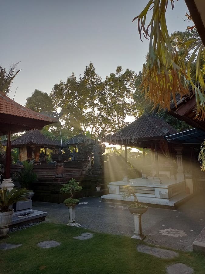 Morning in Bali stock photo. Image of morning, sunshine - 248821330