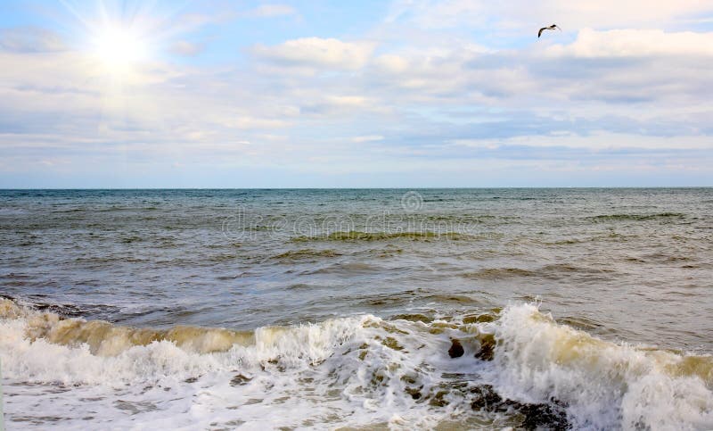 Morning on beach. stock photo. Image of beach, sunrise - 11310408