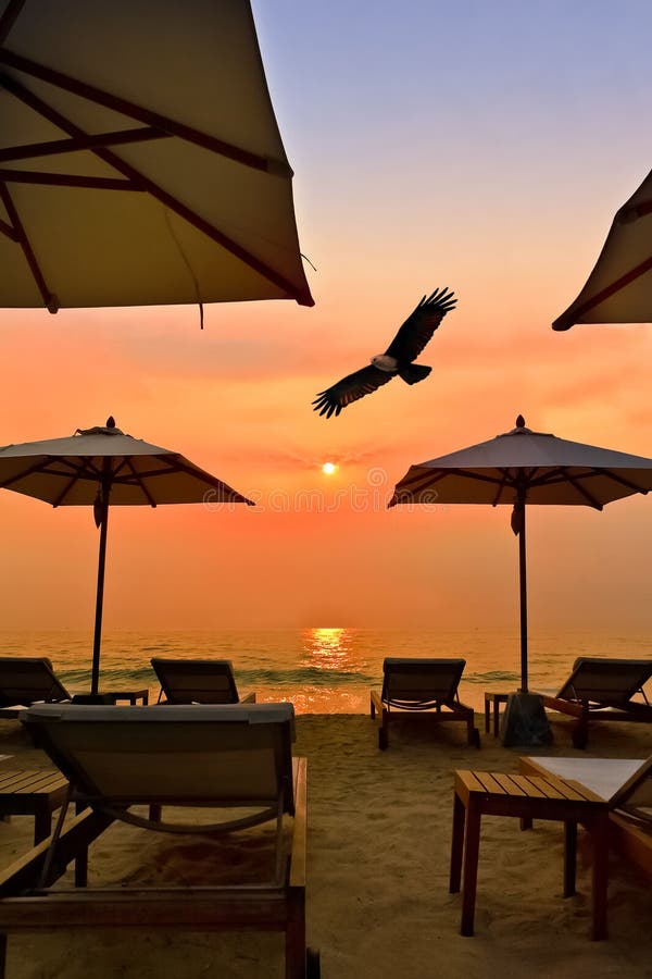 Morning Beach stock photo. Image of sunrise, thailand - 18249184